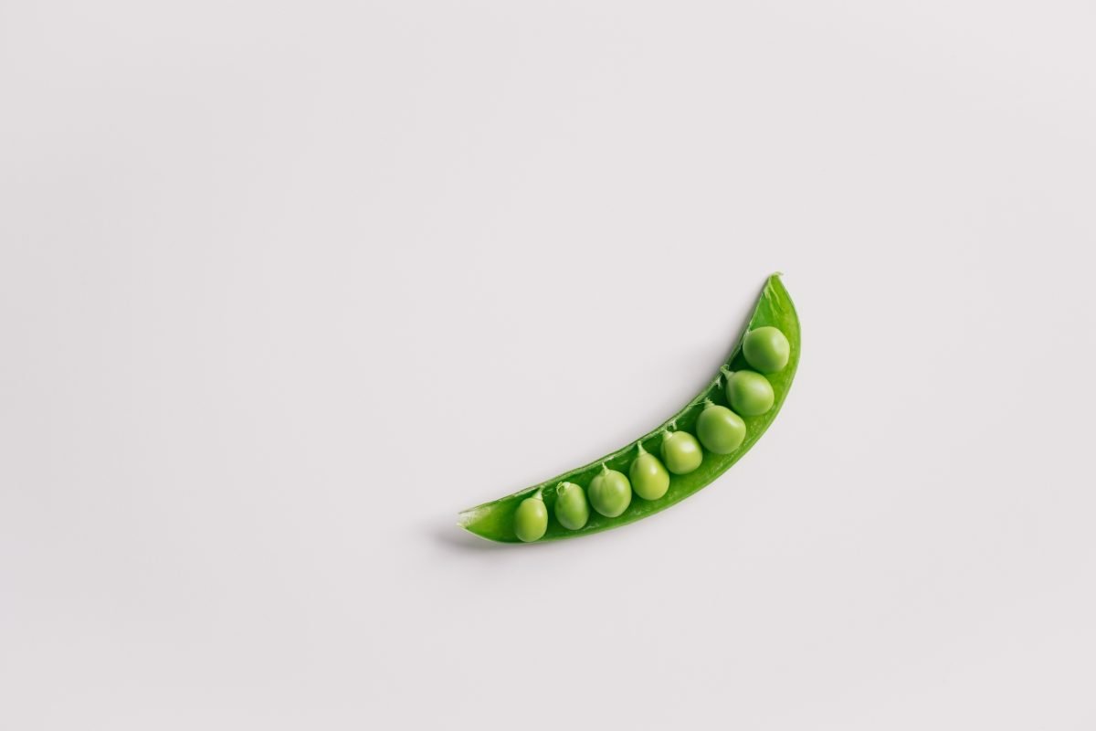 Is Pea Fibre low FODMAP? - THE IBS DIETITIAN