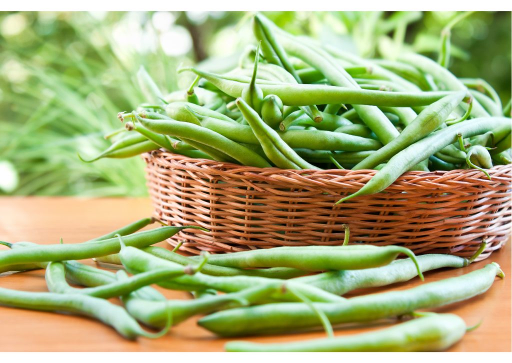 Are green beans low FODMAP? I 5 recipes included - THE IBS DIETITIAN